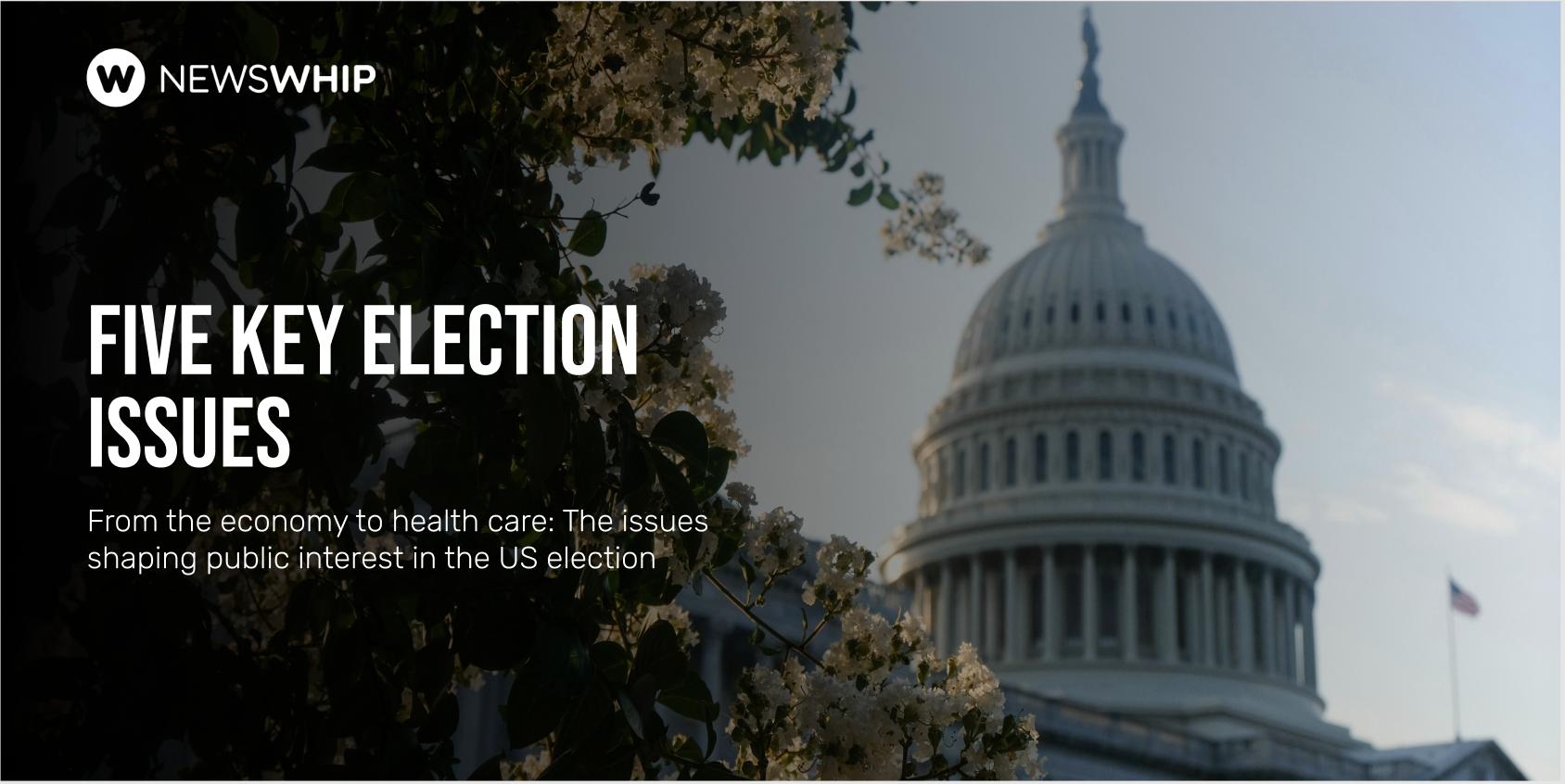 Five key issues for the 2024 election - Newswhip